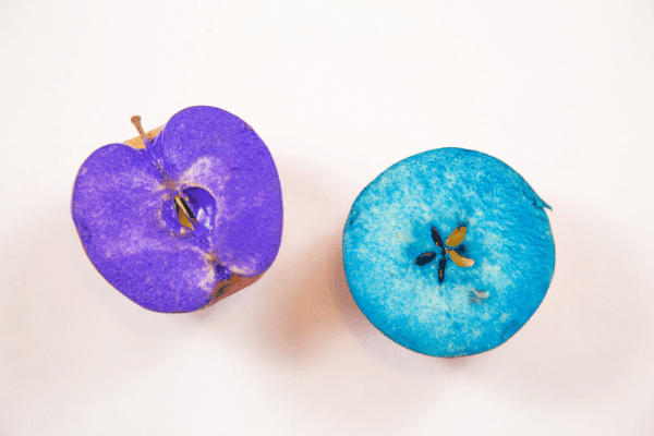 How to Make Fruit and Vegetable Prints - The Artful Parent