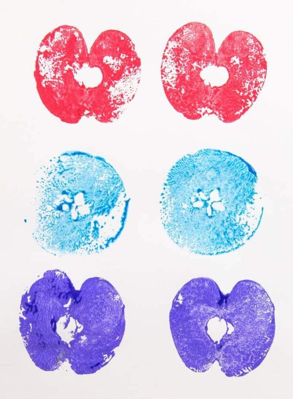 How to Make Fruit and Vegetable Prints - The Artful Parent
