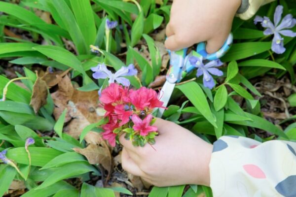 How to do Flower Printing with Kids