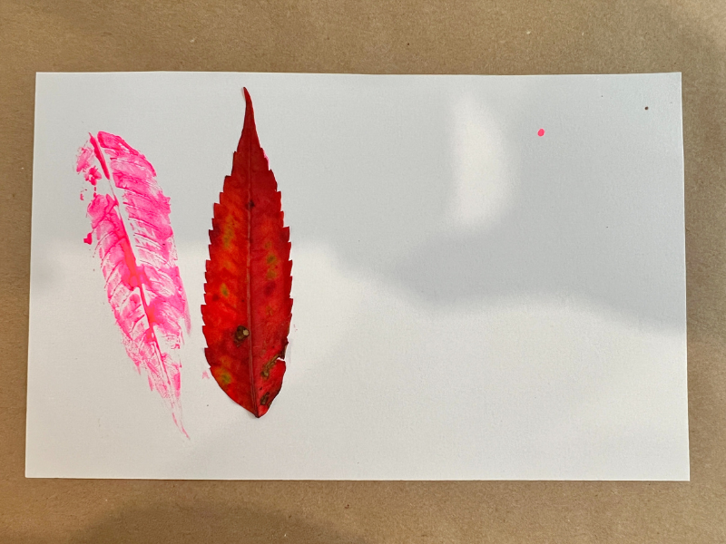How to Do Leaf Printing with Kids