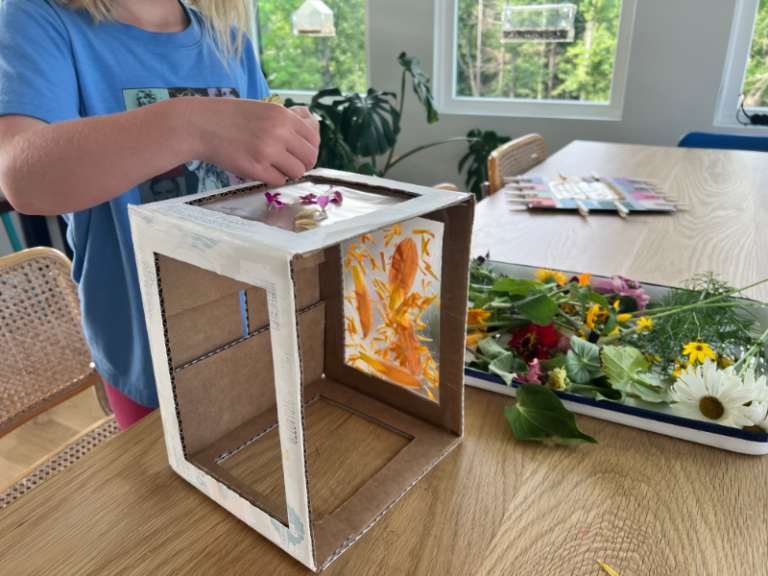 How to Make A 3D Nature Suncatcher