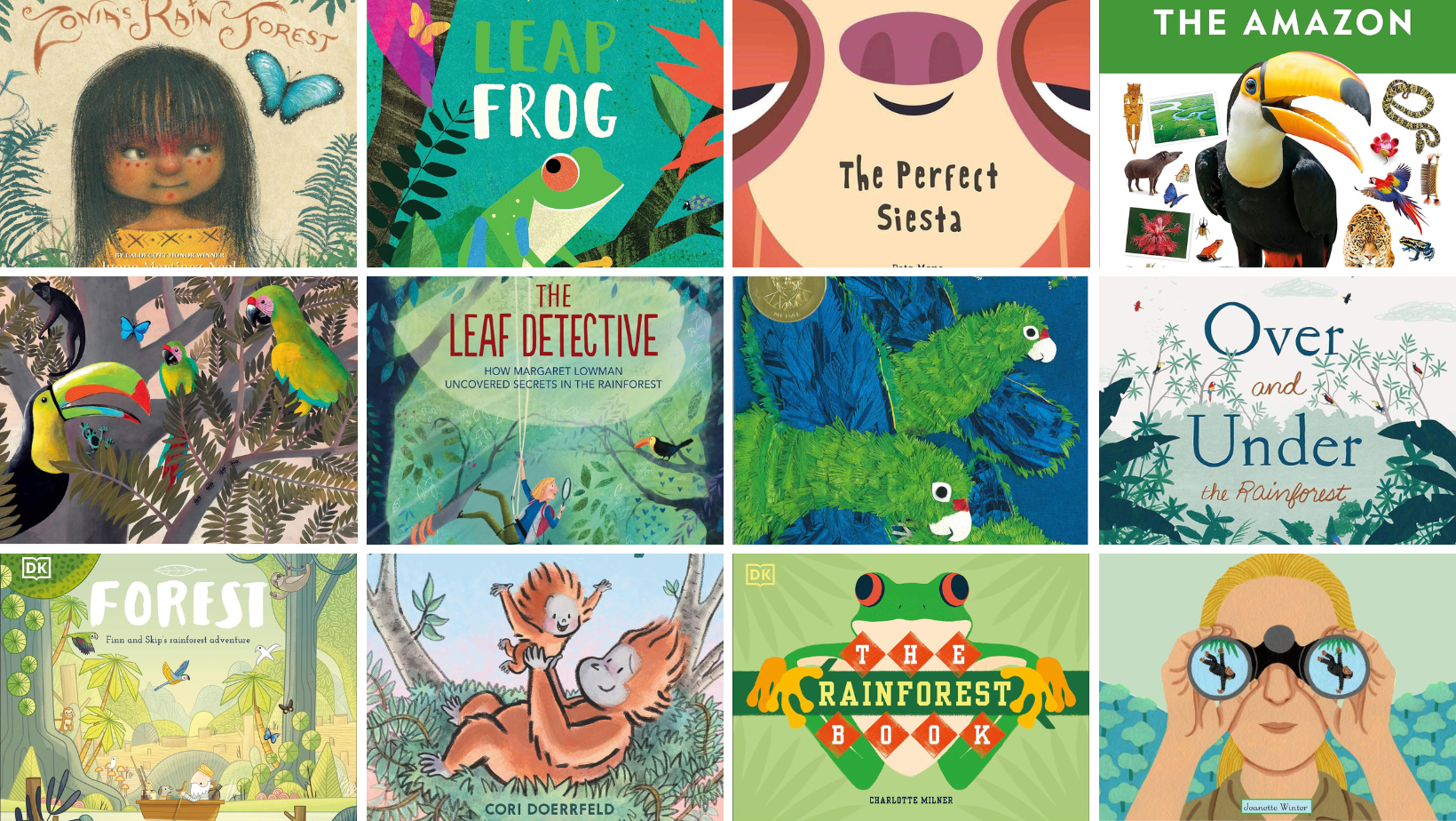 The Best Rainforest Books for Kids