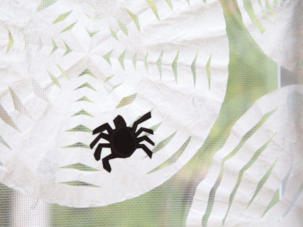 How to Make a Spiderweb Craft with Coffee Filters