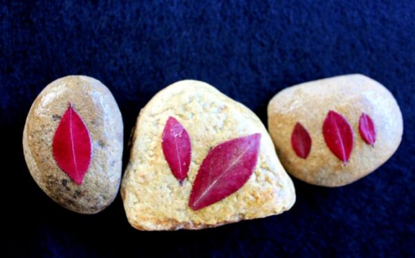 Autumn Leaf Craft – Create Fun Rock Art With This Easy Project