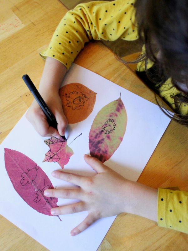 A Fall Leaf Drawing Game for Kids