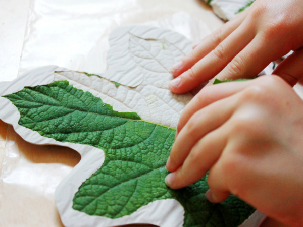 How to Do Leaf Casting with Kids