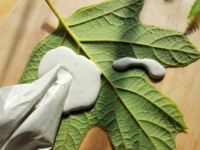 How to Do Leaf Casting with Kids