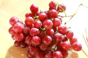 Shadow Tracing with Grape Sculptures - The Artful Parent