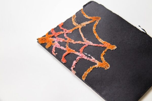 The Best Spiderweb Crafts and Activities