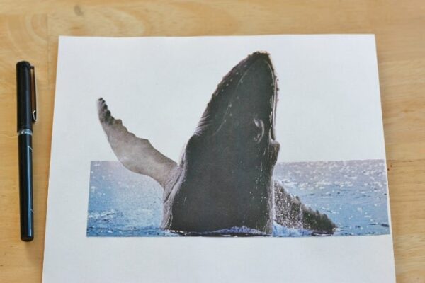 Creative Drawing Prompts for Kids Using Magazine Pictures