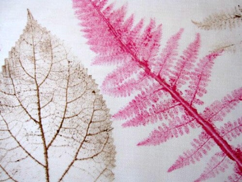 How To Use Leaf Printing On Fabric To Make Wearable Art And More 