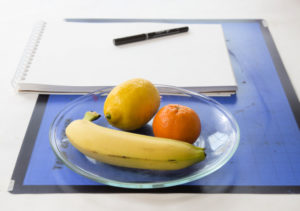 Observational Drawing for Kids