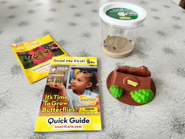 Raising Butterflies with Kids