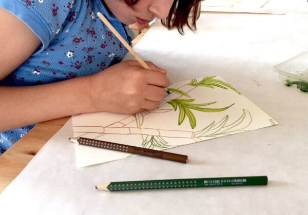 Two Nature Inspired Art Activities for Kids