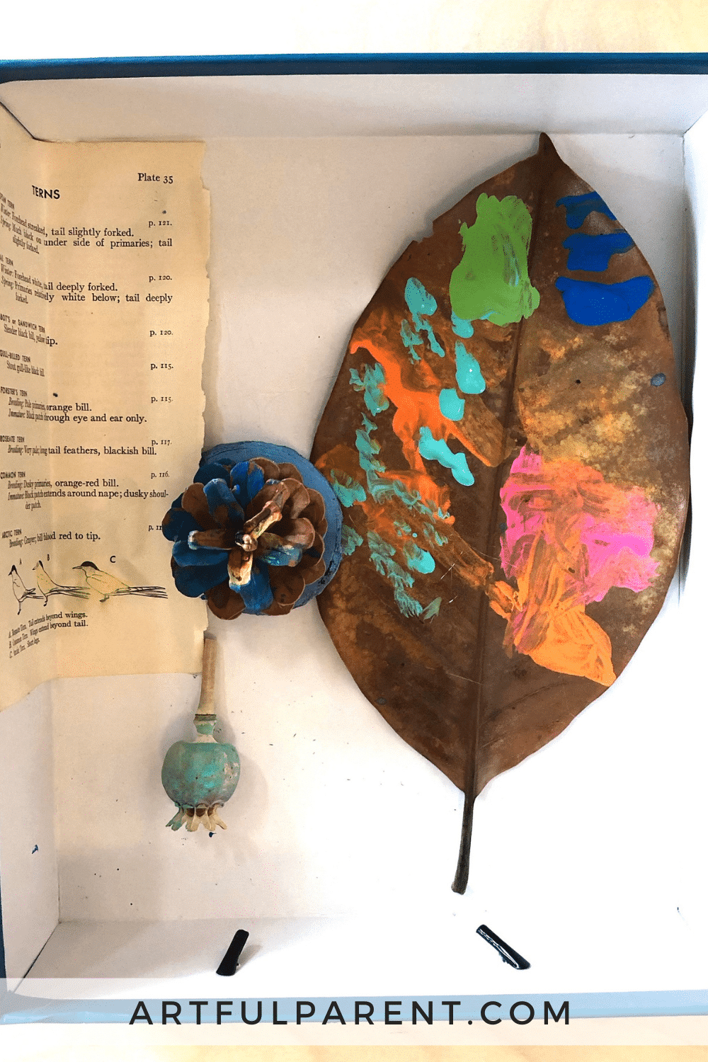 How to Make a Nature Diorama for Kids