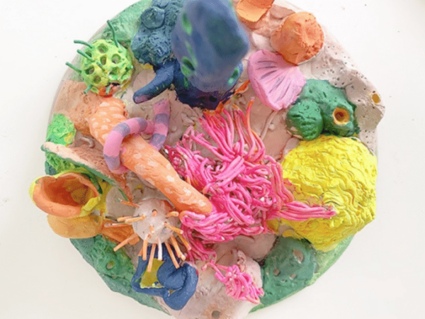 15 Amazing Clay Projects for Kids