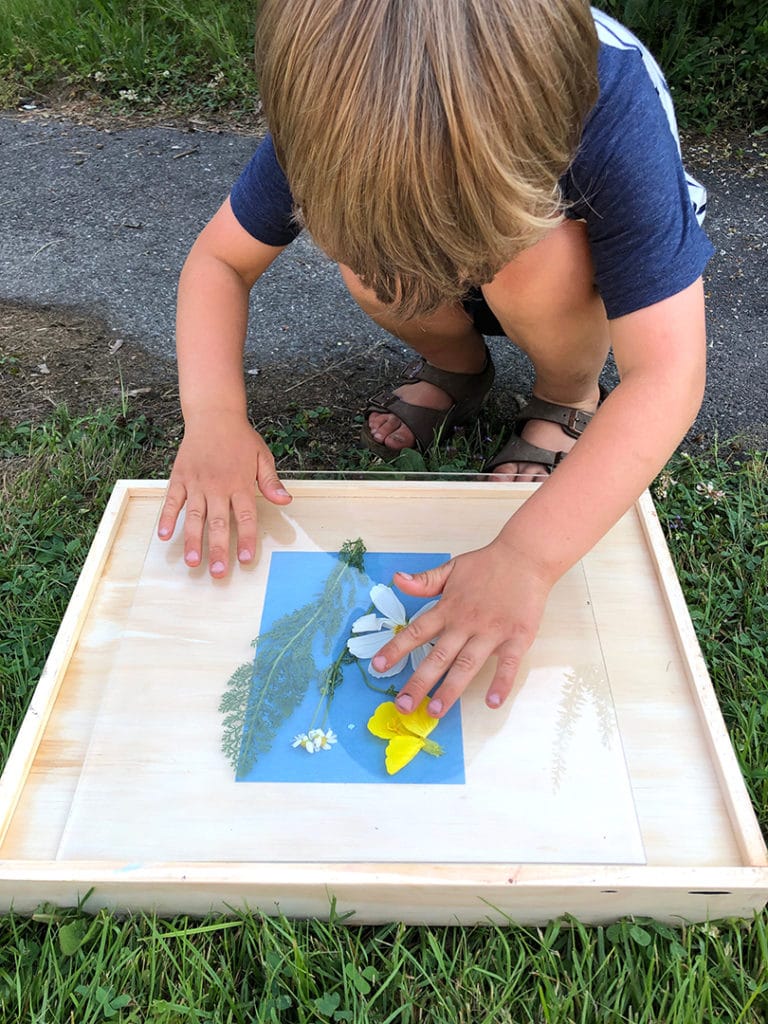 How to Make Sunprints for Kids (& Who Was Anna Atkins?)