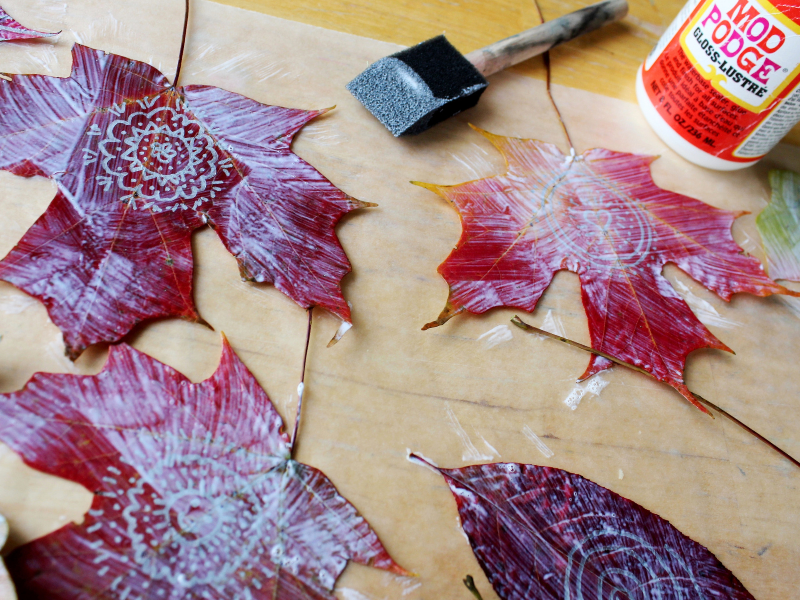 How to Preserve Fall Leaves and Create Mandala Leaf Art - The Artful Parent