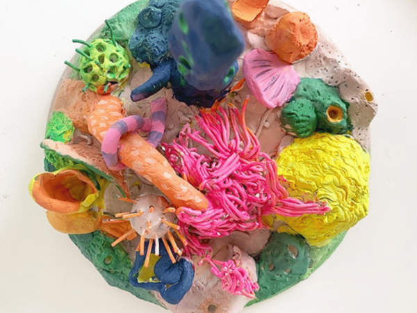 How to Make a Coral Reef with Clay