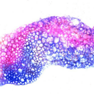 How to Make Homemade Super Bubbles - The Artful Parent