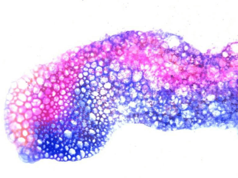 How to Create Bubble Snakes