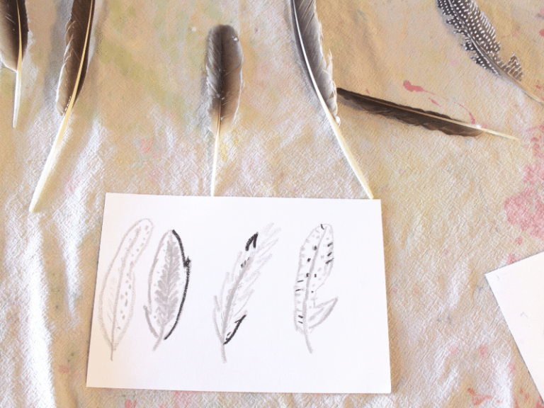 How to Draw Feathers for Kids