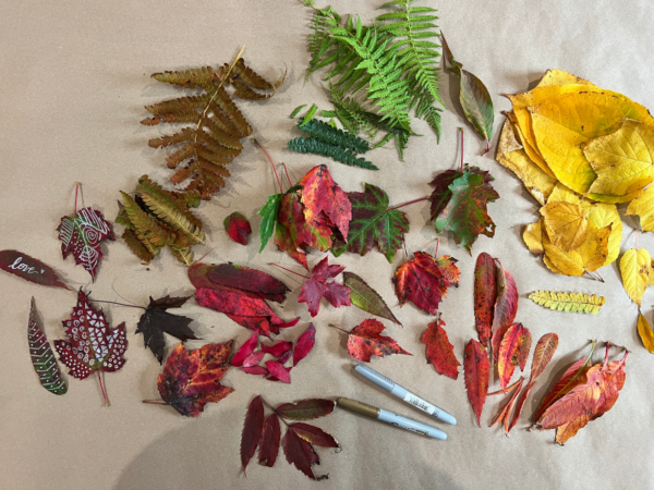 How to Make Zentangle Leaves with Sharpies