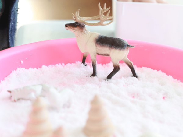 How to Make Instant Snow for Kids