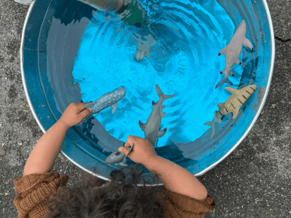 Sensory Play for Babies & Toddlers - The Artful Parent