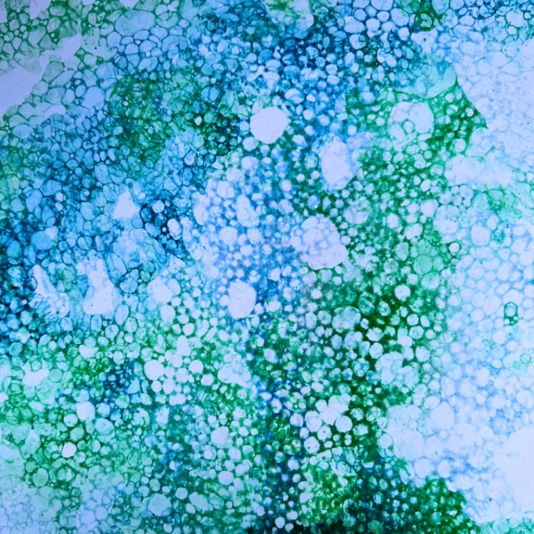 How to Create Bubble Snakes