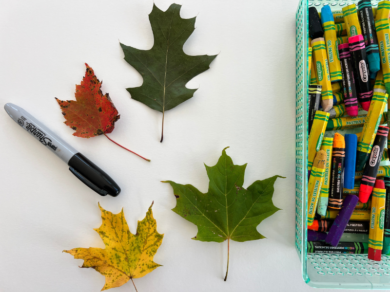 How to Make Fall Leaf Art with Pastels