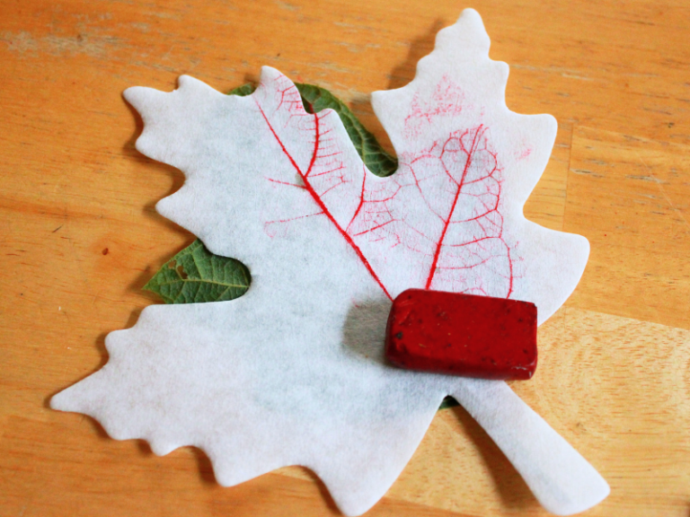 How to Make Painted Paper Leaves for a Fall Art Activity