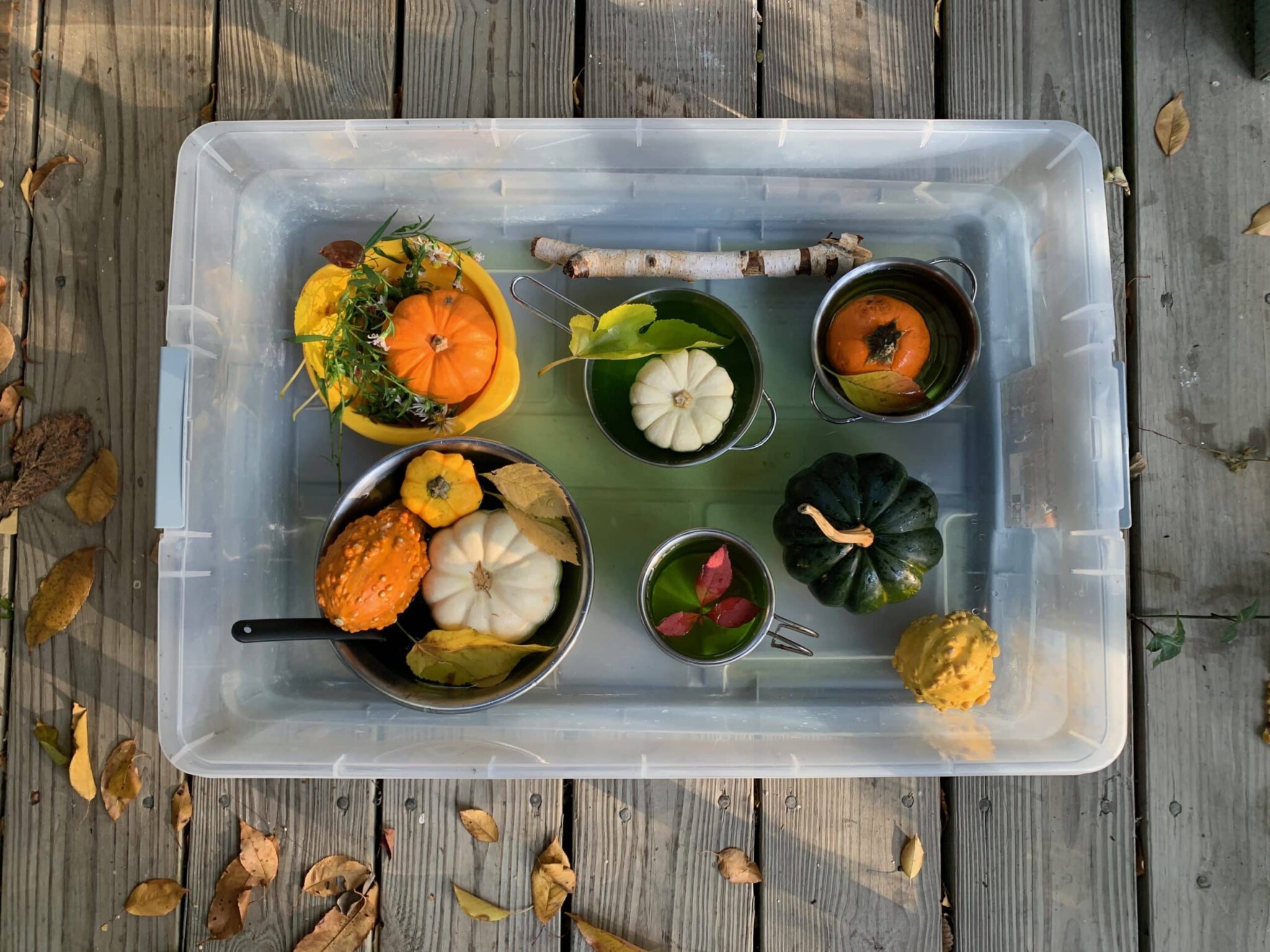 10 Fall Sensory Bins for Kids