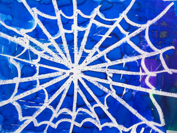 10 Spiderweb Crafts and Activities for Kids