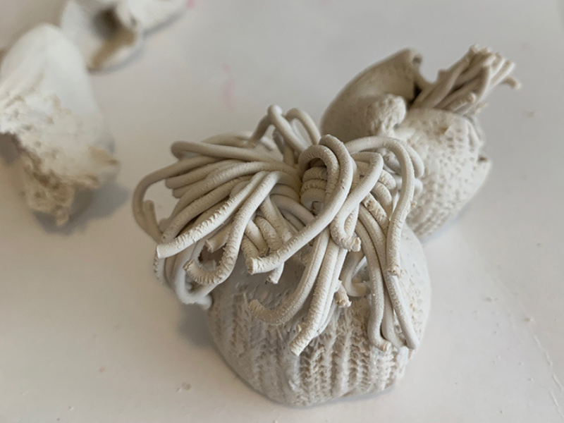 How to Make a Coral Reef with Clay