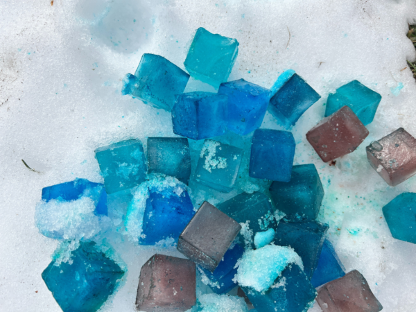 How to Do a Winter Scavenger Hunt for Kids