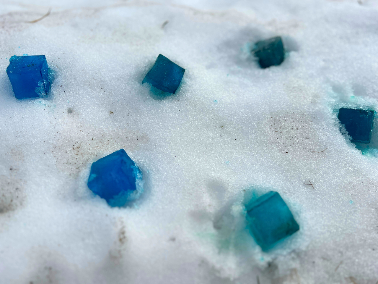 How to Do a Winter Scavenger Hunt for Kids