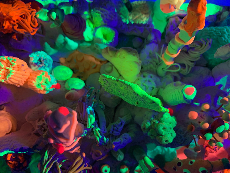 How to Make a Coral Reef with Clay