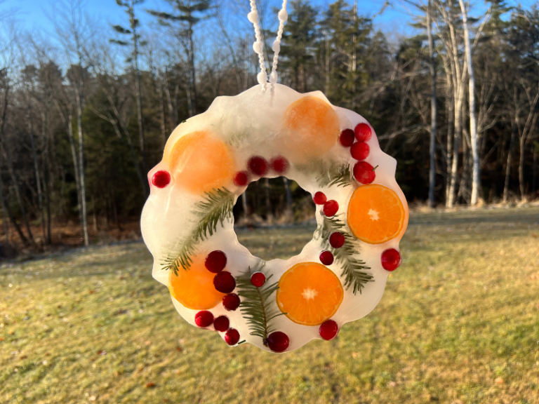 A Winter Craft for Kids: How to Make an Ice Wreath