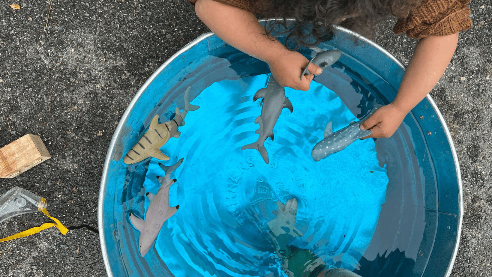 7 Sensory Bin Ideas For Toddlers JINZZY