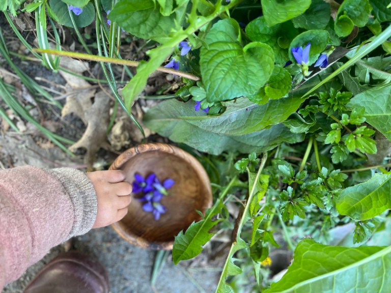 13 Nature Walk Ideas (+ FREE Nature Scavenger Hunt)