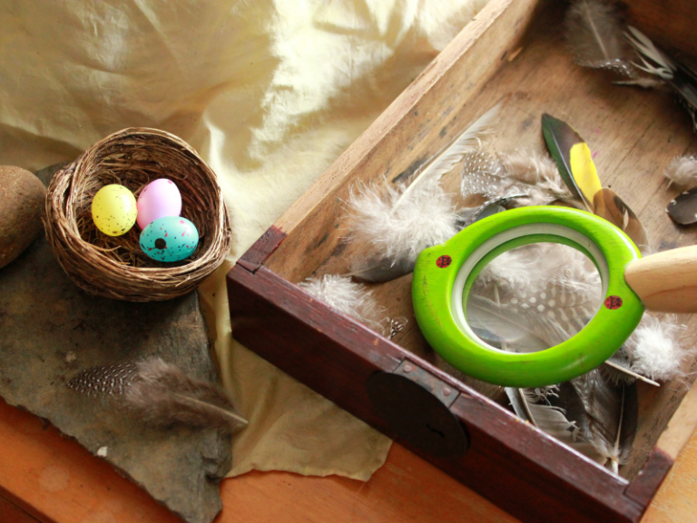 13 Nature Walk Ideas (+ FREE Nature Scavenger Hunt)