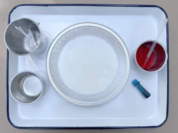 How to Do the Magic Milk Science Experiment