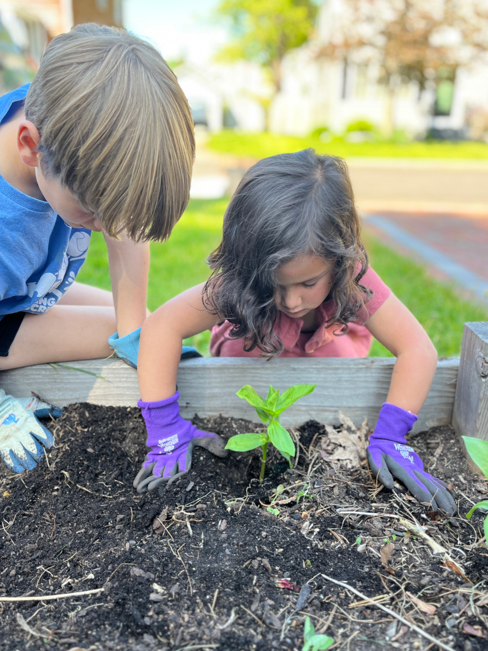 The Best Fun Backyard Ideas for Kids