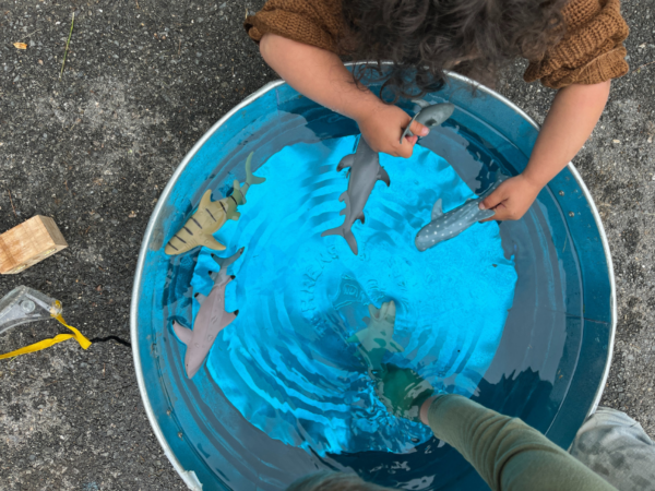 7 Sensory Bins for Toddlers