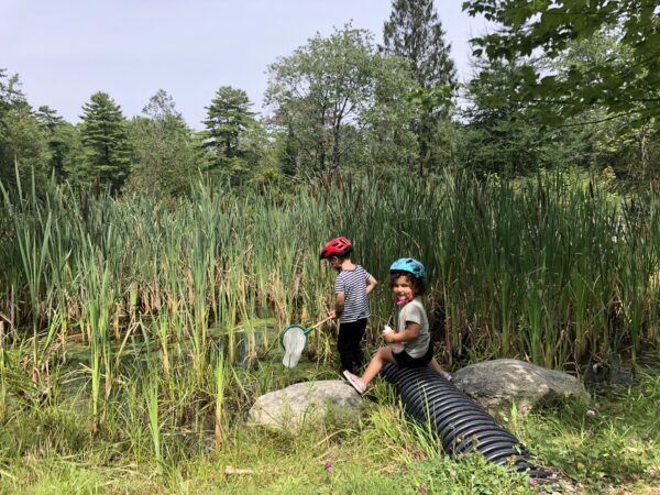 13 Nature Walk Ideas (+ FREE Nature Scavenger Hunt)