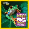 The Best Rainforest Books for Kids