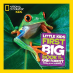 The Best Rainforest Books for Kids