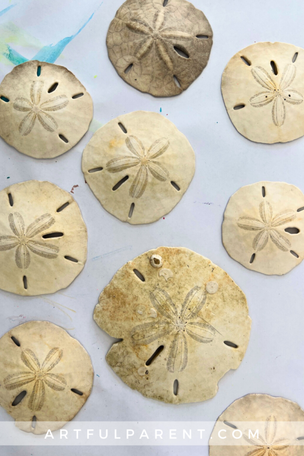 10 Ocean Crafts for Kids on Your Next Beach Trip