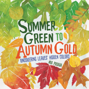 15 Fall Children's Books for Your Family